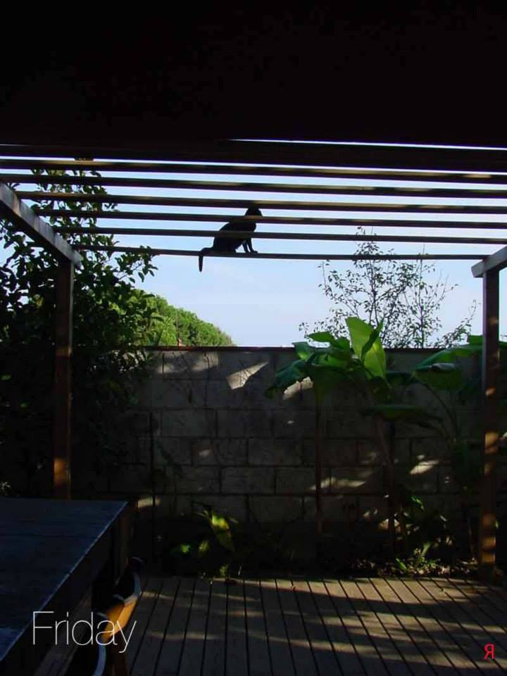 02-Friday-ART-PRINT-RESIDENCE – Art Print Residence