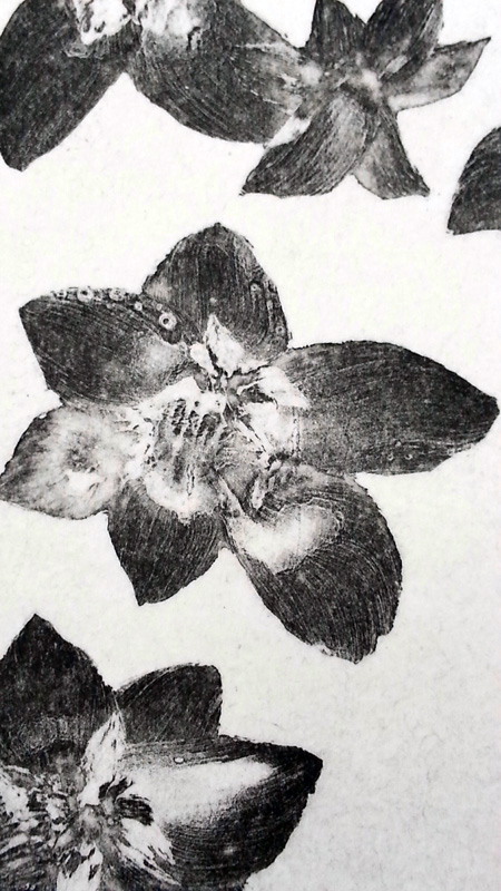 Karl Jansen work in progress – Art Print Residence