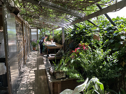 Stacy Frank artist resident – Art Print Residence