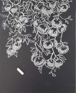 Stacy Frank artist resident – Art Print Residence